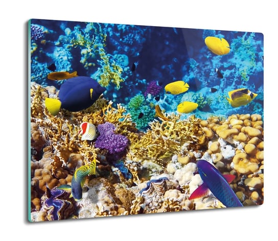 szklana osłonka z grafiką Ryby rafa woda 60x52, ArtprintCave ...