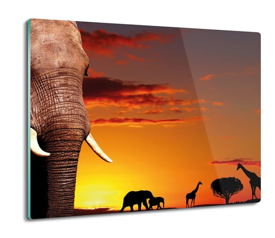 szklana splashback druk Zachód słońca słoń 60x52, ArtprintCave ...