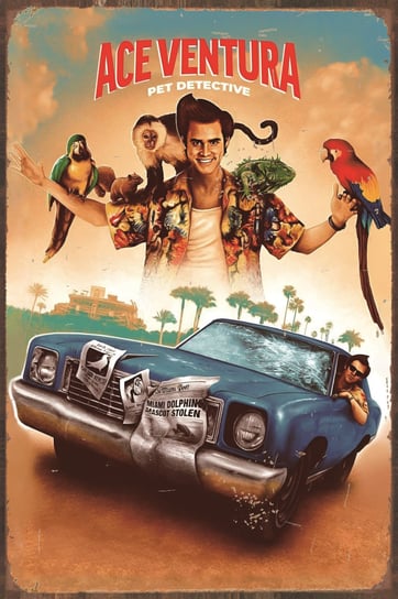 Tablica Ozdobna Blacha 20x30 cm Ace Venture Film Retro Vintage - Inna ...