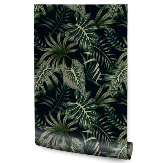 Tapeta Do Salonu Ciemne Egzotyczne Liście Monstera Rośliny Natura ...