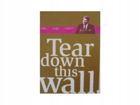 Tear down this wall - Vinny Flynn | Książka w Empik