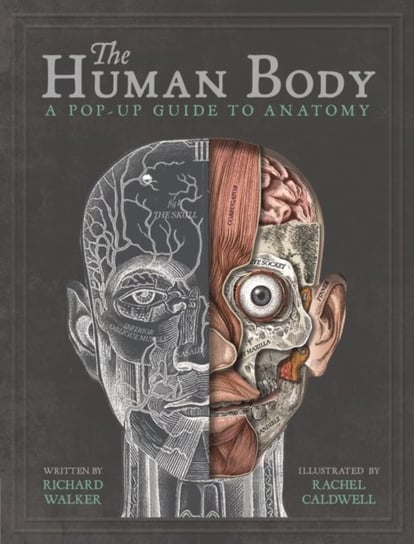 The Human Body: A Pop-Up Guide to Anatomy - Walker Richard | Książka w ...