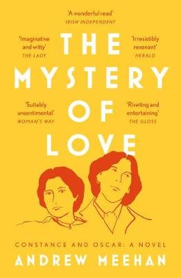 The Mystery of Love - Andrew Meehan | Książka w Empik
