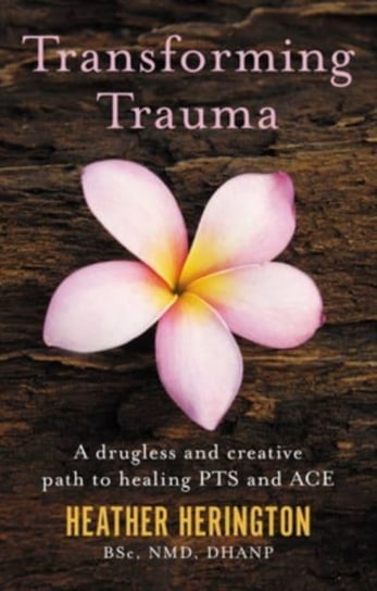 Transforming Trauma: A drugless and creative path to healing PTS and ...