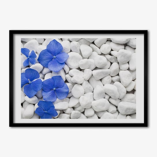 Tulup, Foto obraz z ramką MDF do pokoju Hortensja, 70x50 cm - Tulup ...