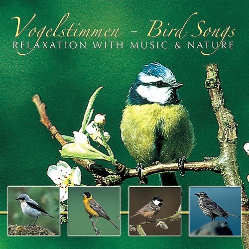 Vogelstimmen Bird Songs - Various Artists | Muzyka, mp3 Sklep EMPIK.COM