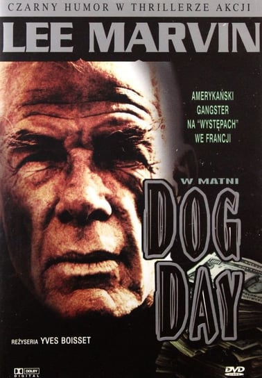 W matni - Various Directors| Filmy Sklep EMPIK.COM