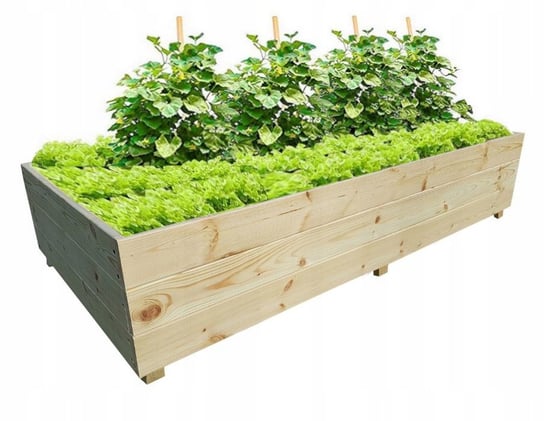 WARZYWNIAK ZIELNIK INSPEKT SKRZYNIA 200x200x30 EKO DREWNIANY WYSOKI ...
