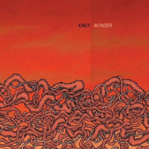 Wonder - KNUT | Muzyka Sklep EMPIK.COM