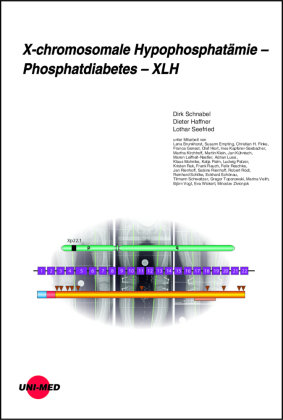 X-chromosomale Hypophosphatämie - Phosphatdiabetes - XLH - UNI-MED ...