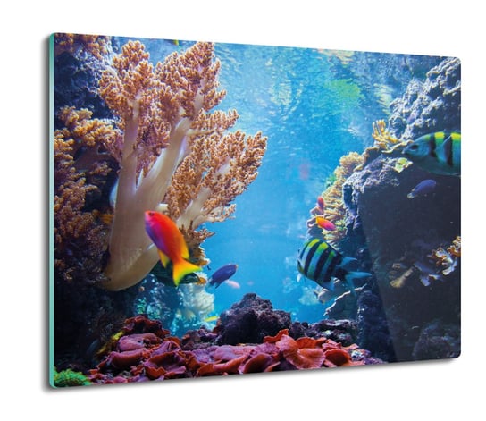 z grafiką osłona splashback Ryby rafa ocean 60x52, ArtprintCave ...