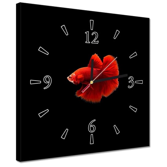 Zegar 30x30cm Czerwony bojownik rybka - ZeSmakiem | Sklep EMPIK.COM