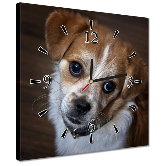 Zegar 30x30cm Psiak - ZeSmakiem | Sklep EMPIK.COM