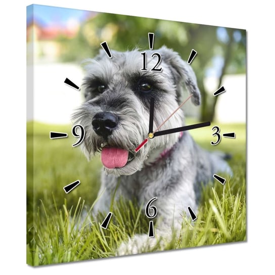 Zegar 30x30cm Słodziutki piesek Psiak - Inna marka | Sklep EMPIK.COM