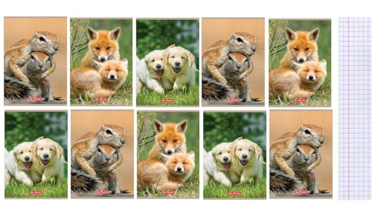 Zeszyt A5 32 kartki w kratkę Animals HERLITZ 10szt. - Herlitz | Sklep ... Zeszyt A5 32 kartki w kratkę Animals HERLITZ 10szt. - Herlitz | Sklep ...