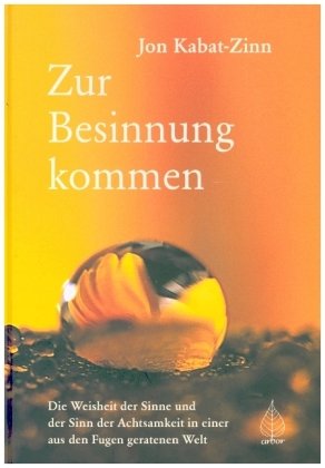 Zur Besinnung kommen - Arbor-Verlag | Książka w Empik
